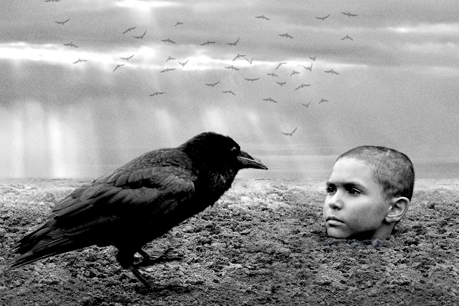 Savaşta Solan Bir Ruh: The Painted Bird