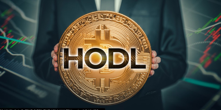 HODL Nasıl Yapılır?